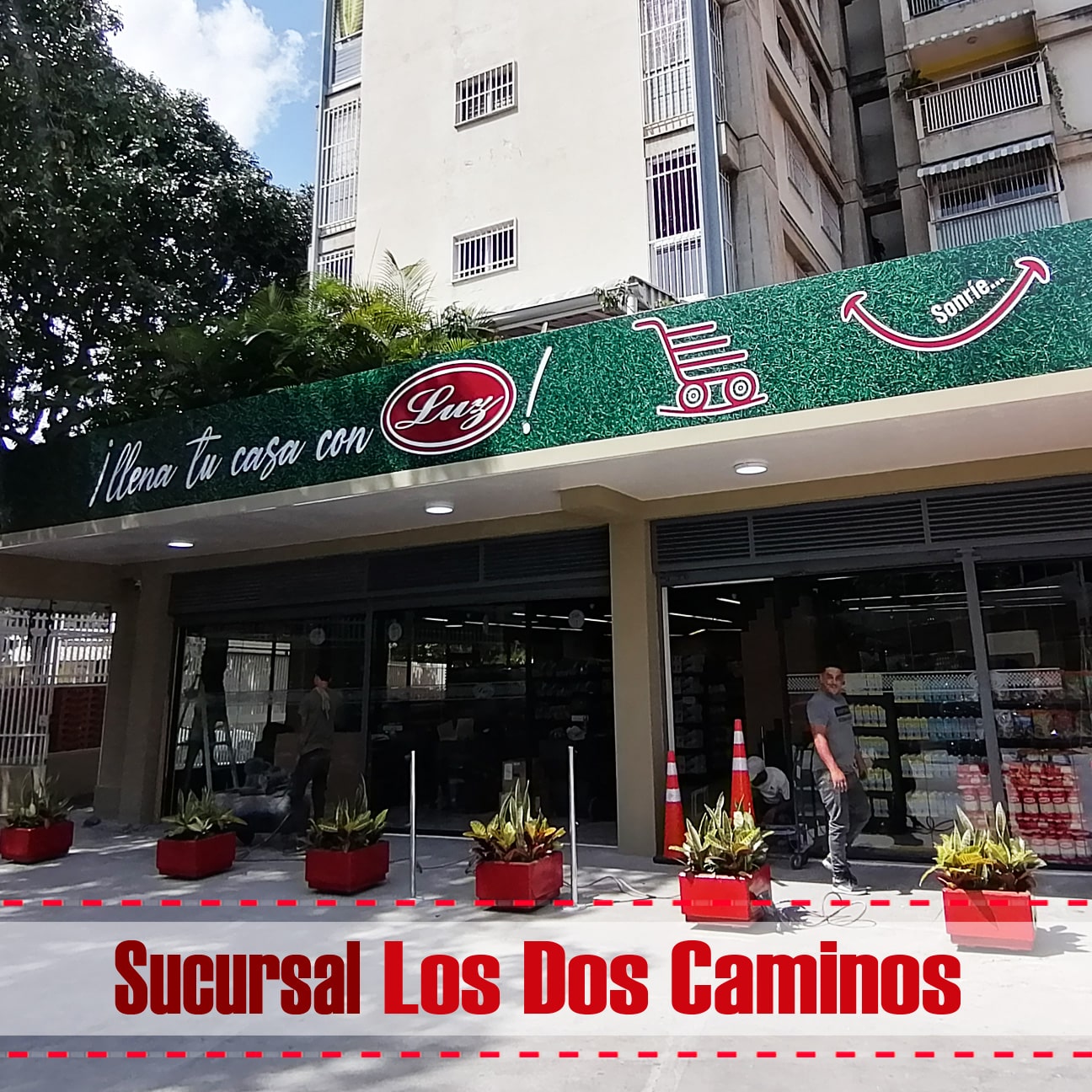 Automercado Luz, C.A.